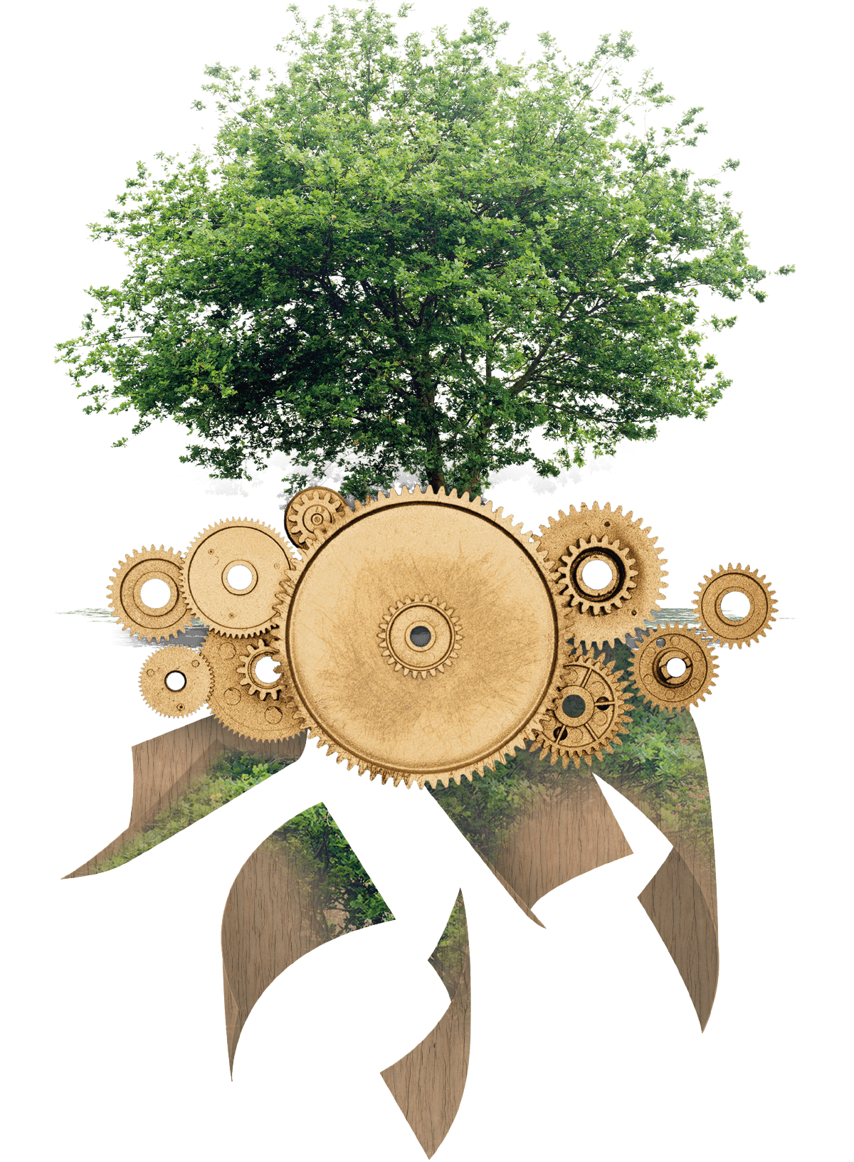 Fibers - PAMA paper machinery GmbH